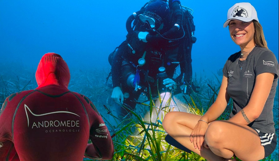 🎙️ Jo-Ann Schies : sauver la forêt de posidonie en Méditerranée